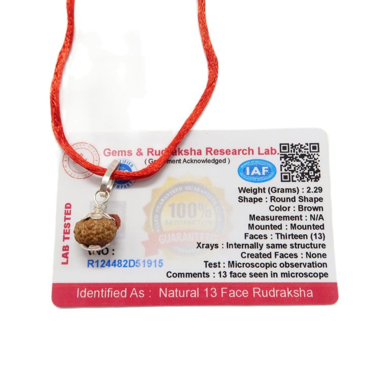 13 Mukhi (13 Face Rudraksha) Lab Certified Original Rudraksha Bead with ...