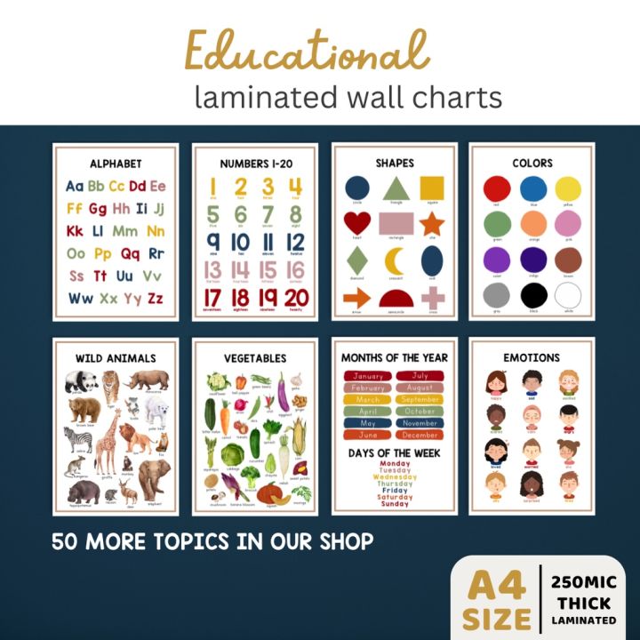 A4 Laminated Kids Educational Wall Chart | Lazada PH
