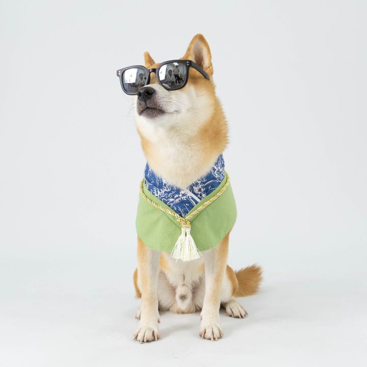 ปกคอยูกาตะ ปลอกคอญี่ปุ่น Inusama Collection สำหรับสัตว์เลี้ยง เฉพาะปกคอ ...