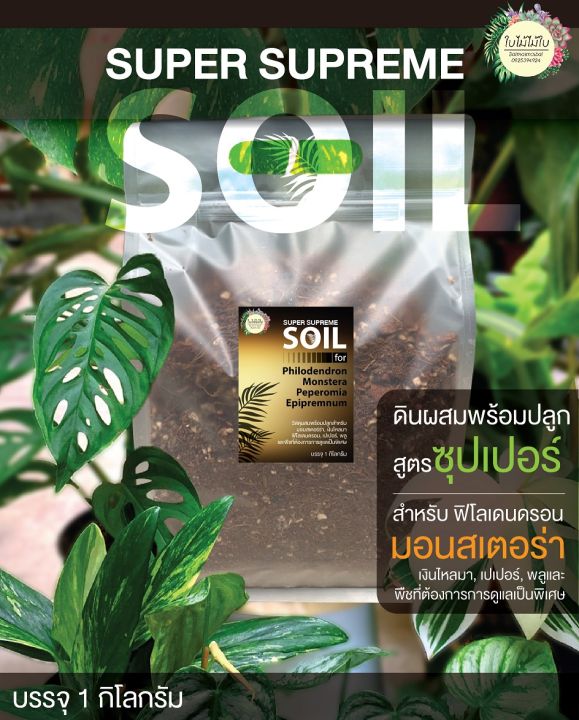 สูตร Super Supreme ดินผสมพร้อมปลูกสำหรับ มอนสเตอร่า ฟิโลเดนดรอน และไม้ ...