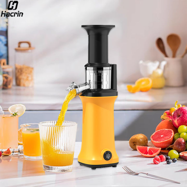 Portable hine Fruit Vegetables Juice Extractor Masticating Slow Cold ...