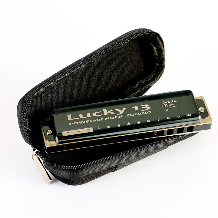 Easttop Blues Harmonica 13 Hole Diatonic Harp Harmonica Professional ...