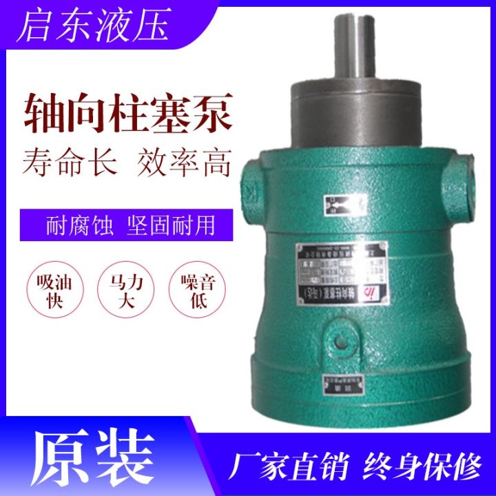 Qidong High Pressure 2.5 5 10 25 63 80 160 250MCY14-1B Axial Piston ...