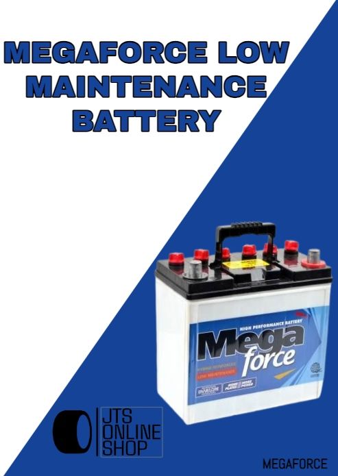 MEGAFORCE LOW MAINTENANCE BATTERY | Lazada PH
