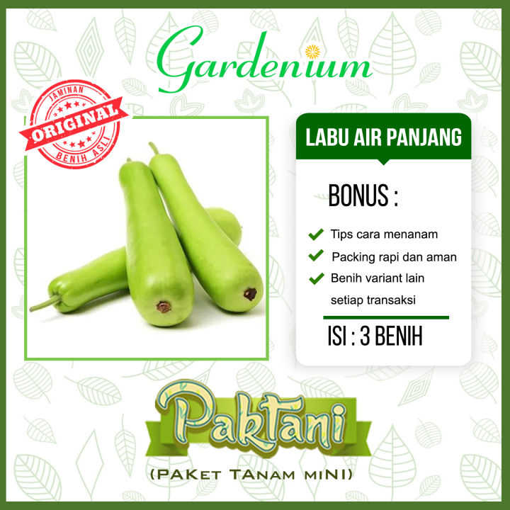 3 Benih Labu Air Panjang Tanaman Sayur Unggul Paktani | Lazada Indonesia