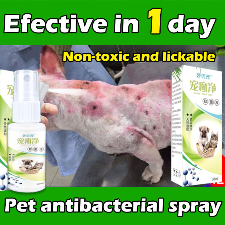 30ml Pet Skin Treatment for Dogs and Cats Galis Ng Aso Gamot Kitten and ...