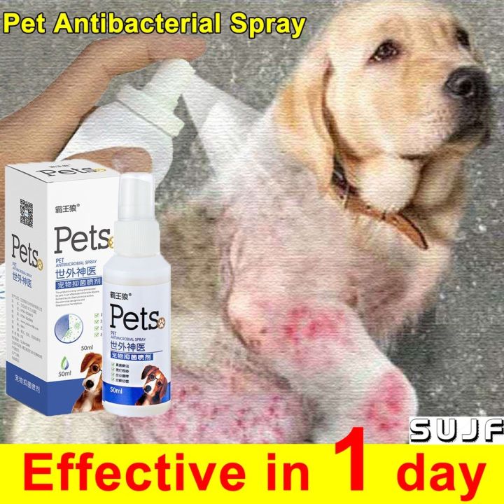 Pet Anti fungal Spray 50ml Dog Skin Disease Treatment Dog Allergies ...