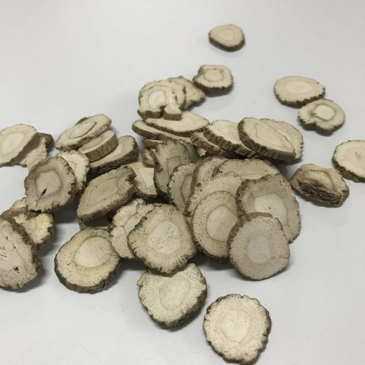 DRIED ANGELICA ROOT/ANGELICA/ANGELICA ROOT TEA/ANGELICA HERBAL TEA 20 ...