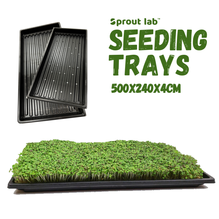 Sprout lab | Microgreen Nursery Seedling Tray | 500*240*40 | 1.3mm ...