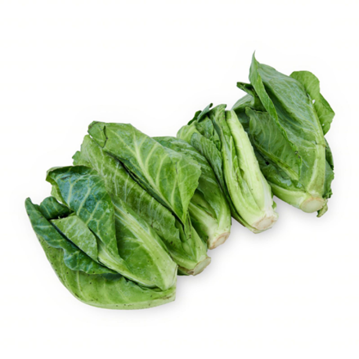 BABY KAILAN / CHOY TAM / 菜旦 | Lazada