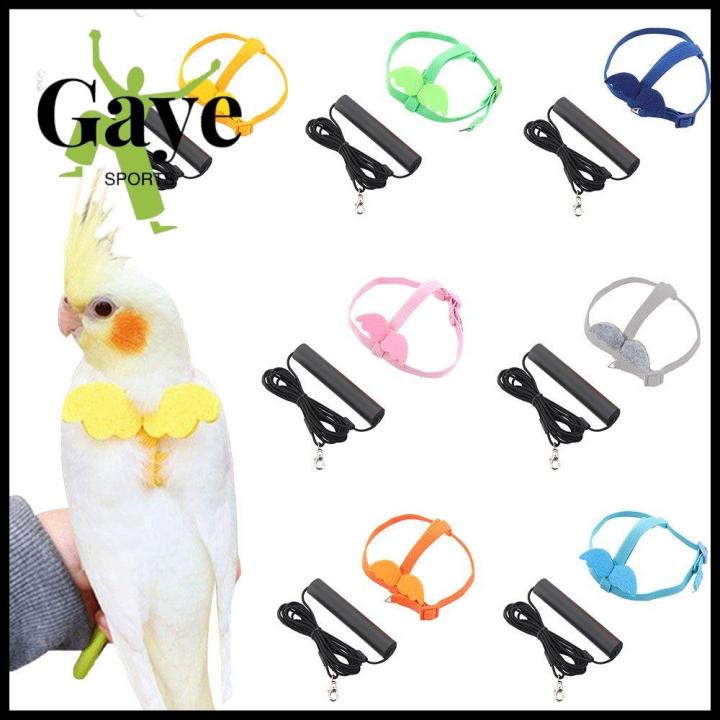 GS Macaw Flying Training For Small Medium Birds Rope With Wing Bird ...