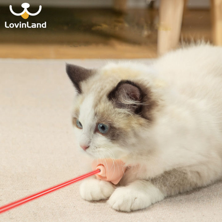 Laser Light Teases Cat Collar Lazy Cat Toy Laser Teases Cat Collar ...