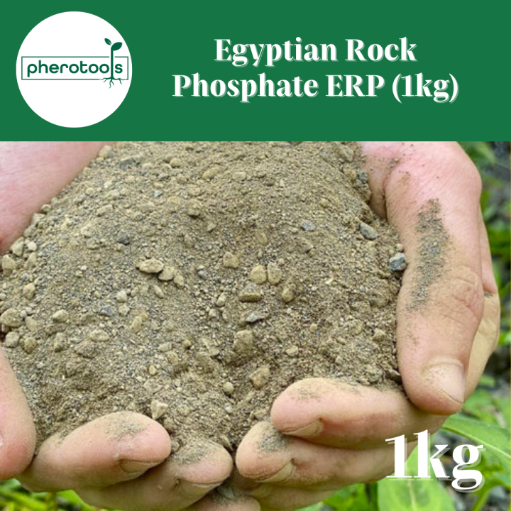 Pherotools Egyptian Rock Phosphate ERP 1KG (Baja Akar) (Baja Organik ...