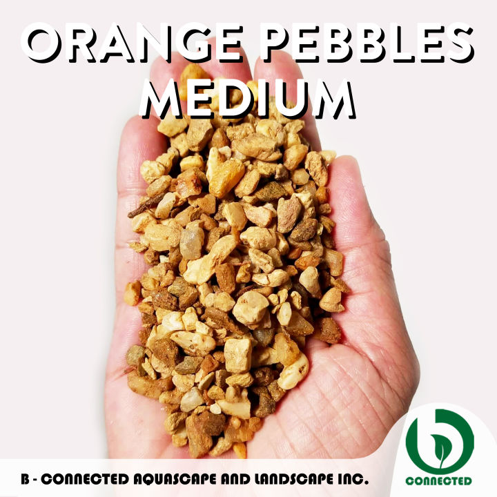 ORANGE PEBBLES STONE ROCK BY B-CONNECTED - INTERIOR / GARDEN / AQUARIUM ...