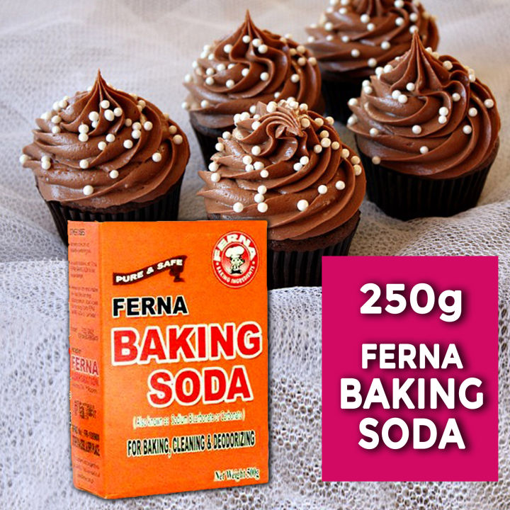 "Ferna" Baking Soda 250g | Lazada PH