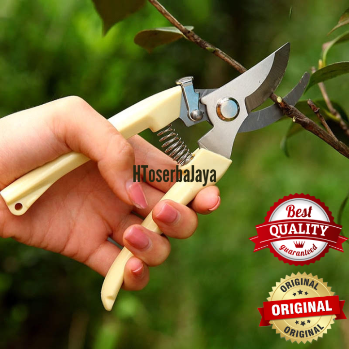 Gunting Tanaman Dahan Ranting Gunting Kebun Bunga Pruning Shears Gagang ...