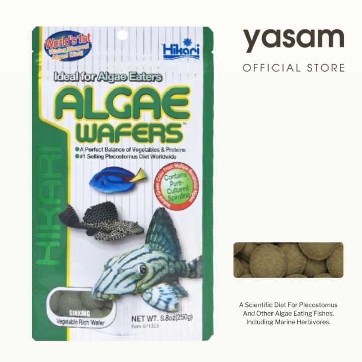 HIKARI - Algae Wafers for Algae eaters (pleco and otto fish food ...
