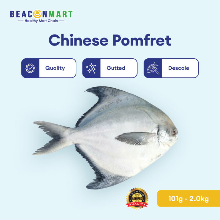 [Beacon Mart] Whole Fish Fresh Frozen Chinese Pomfret | Sabah Wild ...
