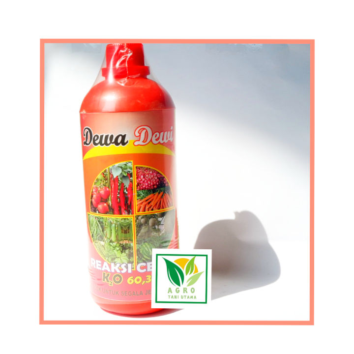 Dewa dewi pupuk cair 1 liter | Lazada Indonesia