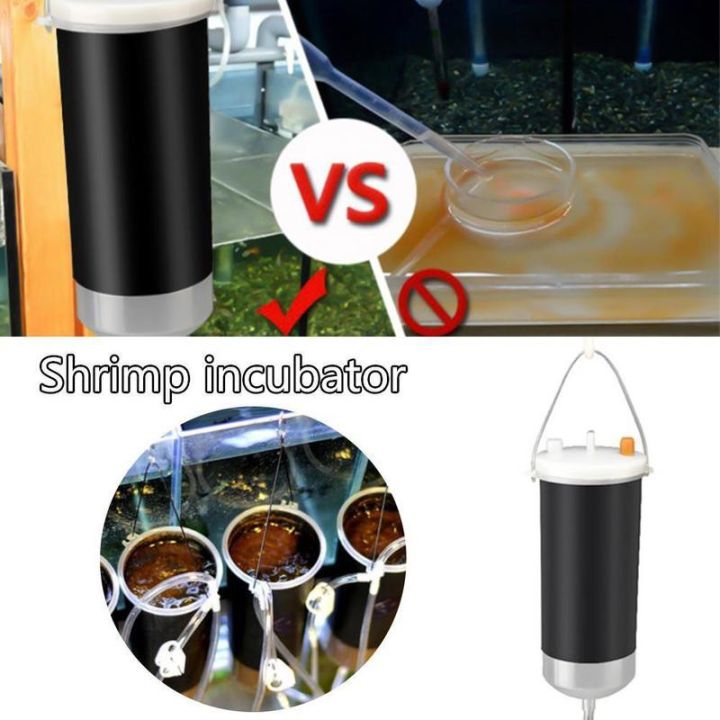 Baby brine shrimp hatchable Brine shrimp hatchery kit brine shrimp ...