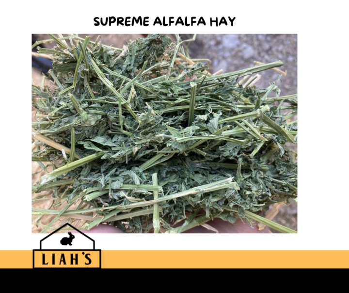 Supreme Alfalfa Hay (long strand leafy) 1kg | Lazada PH