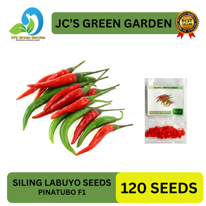 (120 SEEDS) SILING LABUYO SEEDS/PINATUBO F1/FOR PLANTING/SUPER HOT/HIGH ...