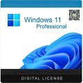 Microsoft Windows 11 Pro License Key | Lazada PH