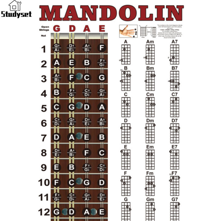 Studyset in stock Mandolin Fretboard Notes Chart Finger Placement ...