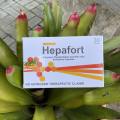HEPAFORT Silymarin, Phospholipids, Carnitine with B-Vitamins Capsules ...