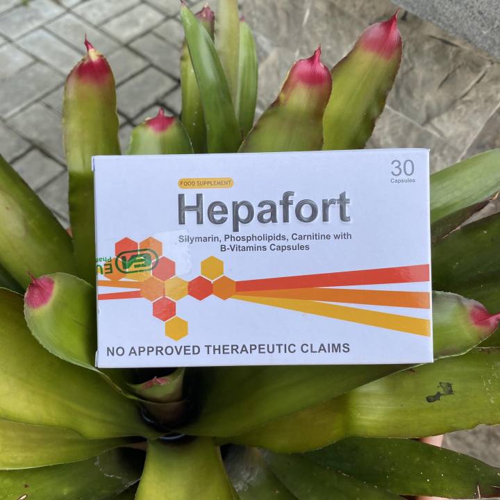 HEPAFORT Silymarin, Phospholipids, Carnitine with B-Vitamins Capsules ...