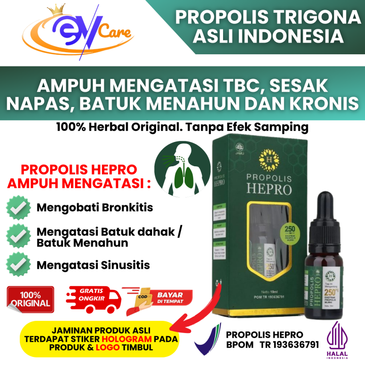 Propolis Hepro Obat Tbc Dan Batuk Menahun Gatal Tenggorokan Vitamin Daya Tahan Tubuh 10 ML ...