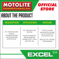 Motolite EXCEL (24mos Warranty) Maintenance Free Car/Automotive Battery ...