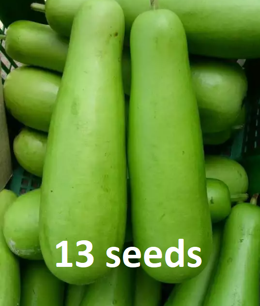 upo / bottle gourd seeds - 25pesos per pack - condor seeds - plant seed ...