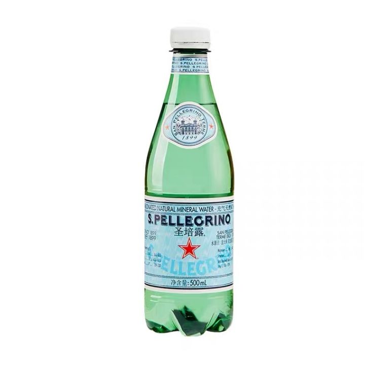 SANPELLEGRINO Italian Sparkling Natural Mineral Water 250ml | Lazada PH