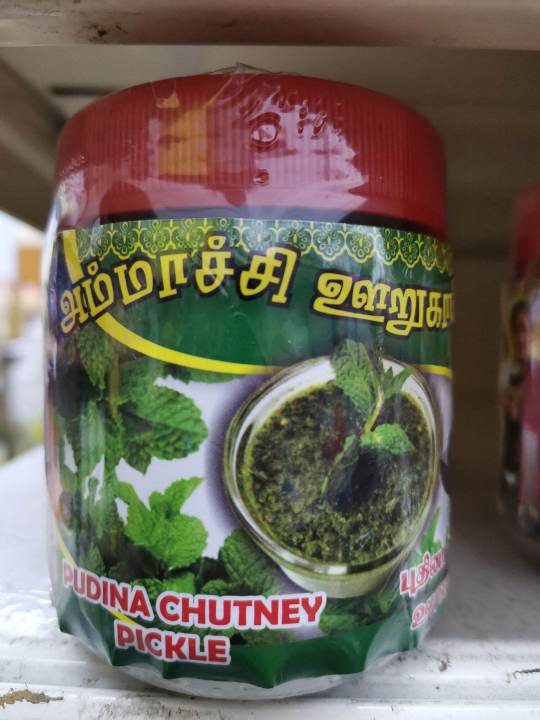 AMMACHE HOMEMADE PUDINA CHUTNEY PICKLES 170g | Lazada