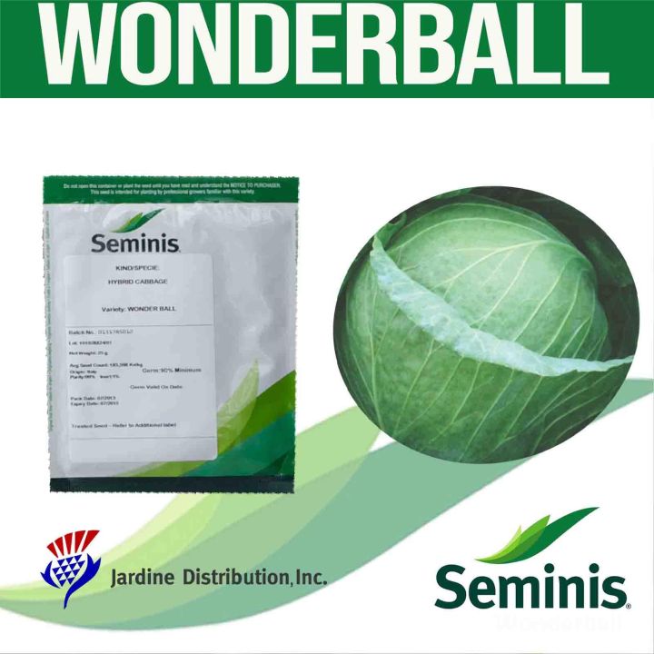 Wonderball Seminis Cabbage Seeds 25g | Lazada PH