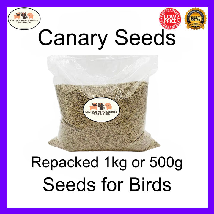 Canary Seeds for Bird Feeds Repacked 1kg/500g | Lazada PH