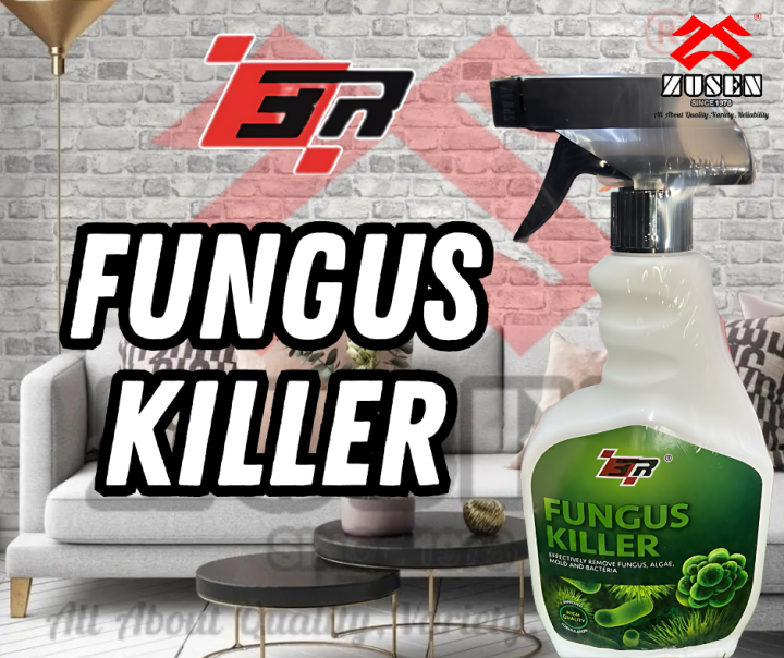 3R FUNGUS KILLER & REMOVER 500ML | Lazada
