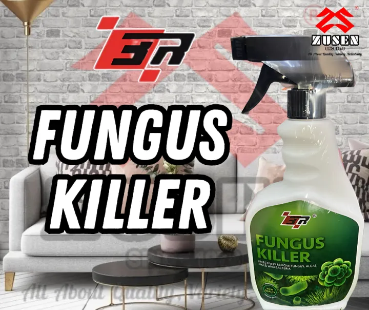 3R FUNGUS KILLER & REMOVER 500ML | Lazada