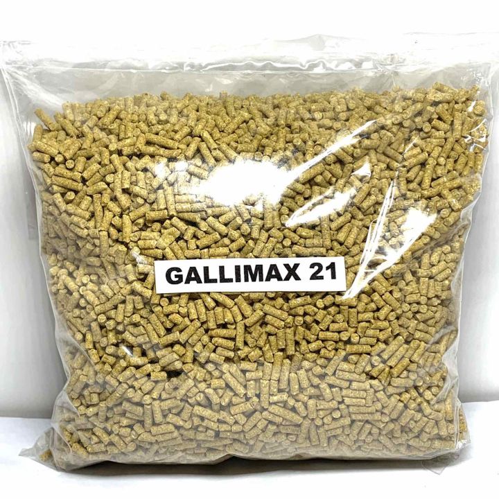 [FCR AGRIVET] 1kg Pilmico Gallimax 21 Breeder Ration for Gamefowl ...