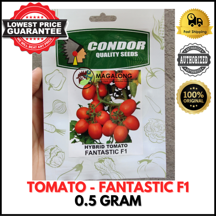 CONDOR SEEDS - TOMATO SEEDS - HYBRID TOMATO FANTASTIC F1 - 0.5 SEEDS ...