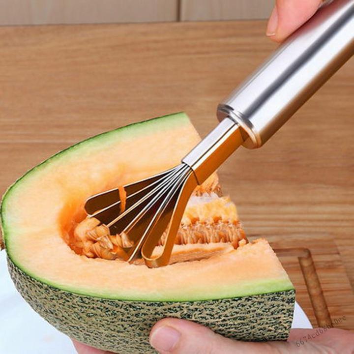 Stainless Steel Coconut Meat Scraper Easy to Use Cheese Shredder ...