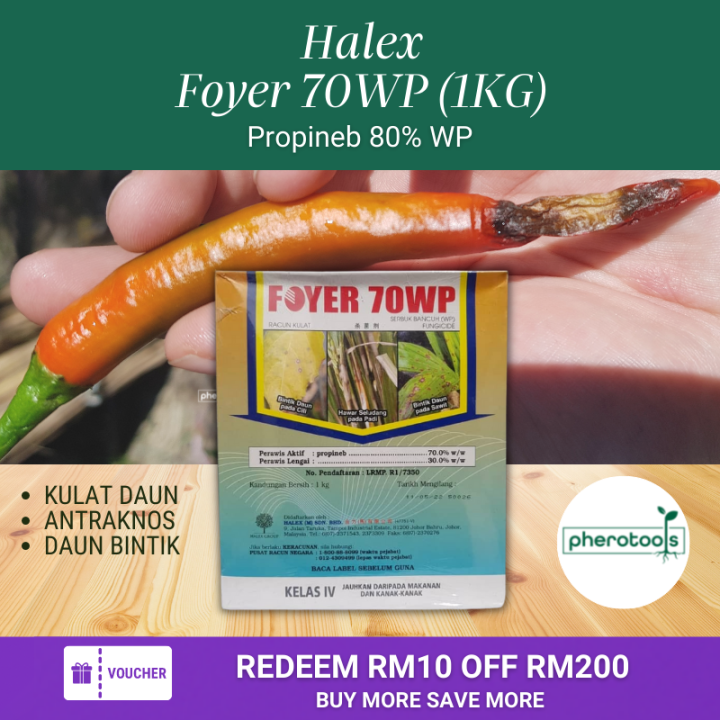Pherotools Halex FOYER 70WP (1KG) Propineb Fungicide Antracol Antraknos ...