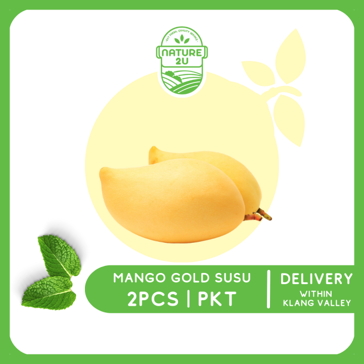 Nature2U Fresh Fruit - Mango Gold Susu / Mangga Susu / 黄金牛奶芒果 (2PCS ...