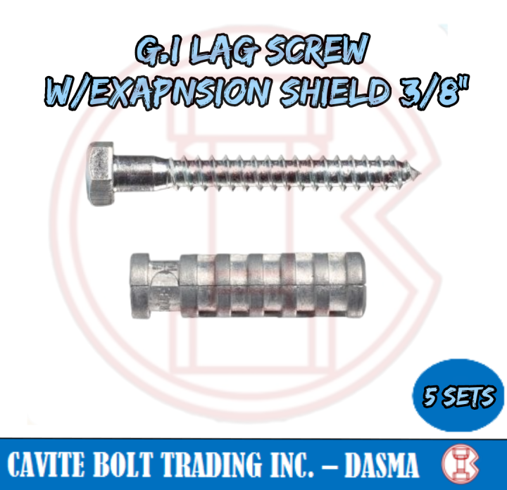 LAG SCREW (GALVANIZED) 3/8" WITH EXPANSION SHIELD 5 SETS | Lazada PH