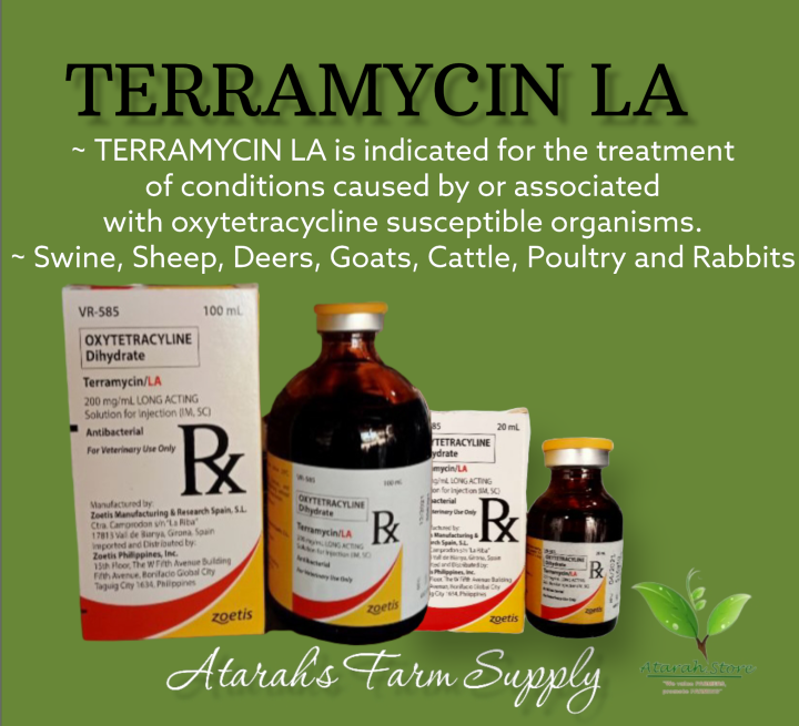 TERRAMYCIN LA Antibacterial for Animals | Lazada PH