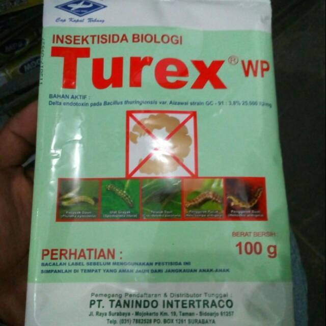 insektisida biologi TUREX 100gram dari CAP KAPAL TERBANG | Lazada Indonesia