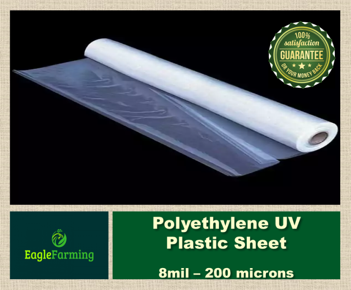 UV Plastic Sheet (8 mil - 200 Microns) - 10ft x 5 Meter - Greenhouse ...