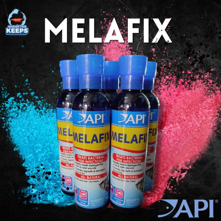 API Melafix rapidly repairs damaged fins, fins and tail rots, eye clouds, body slime, open red ...