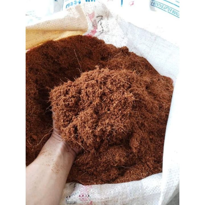 COCOPEAT @ SABUT KELAPA HALUS 500G | Lazada